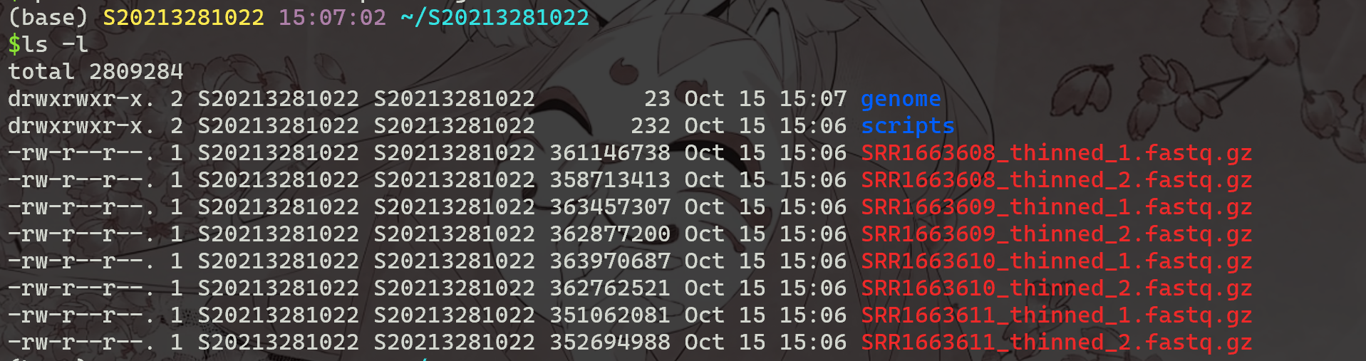 使用GATK4获取SNP - HorizonGazer