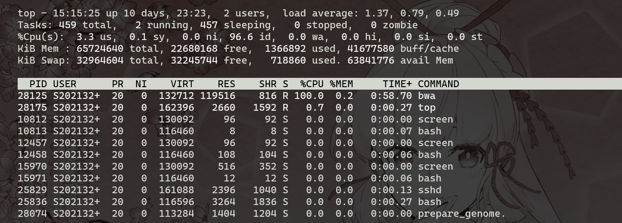 使用GATK4获取SNP - HorizonGazer