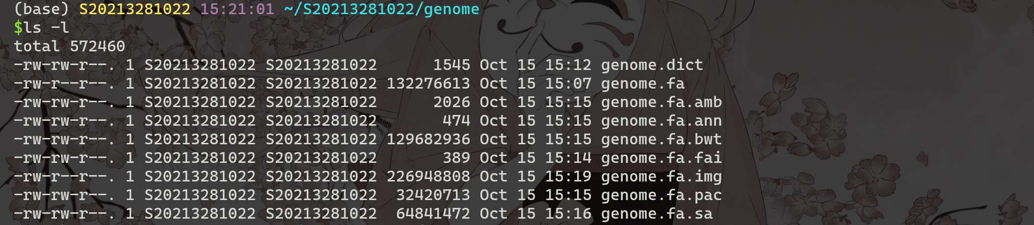 使用GATK4获取SNP - HorizonGazer