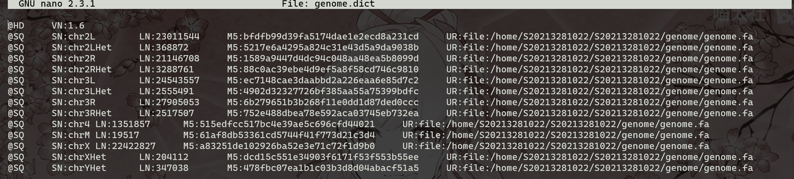 使用GATK4获取SNP - HorizonGazer