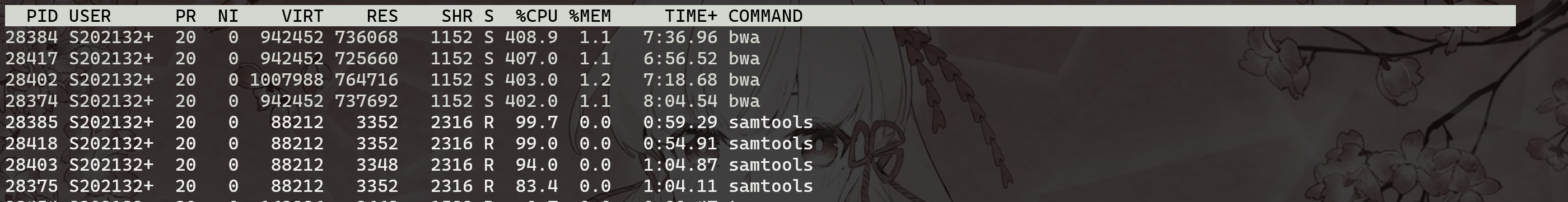 使用GATK4获取SNP - HorizonGazer
