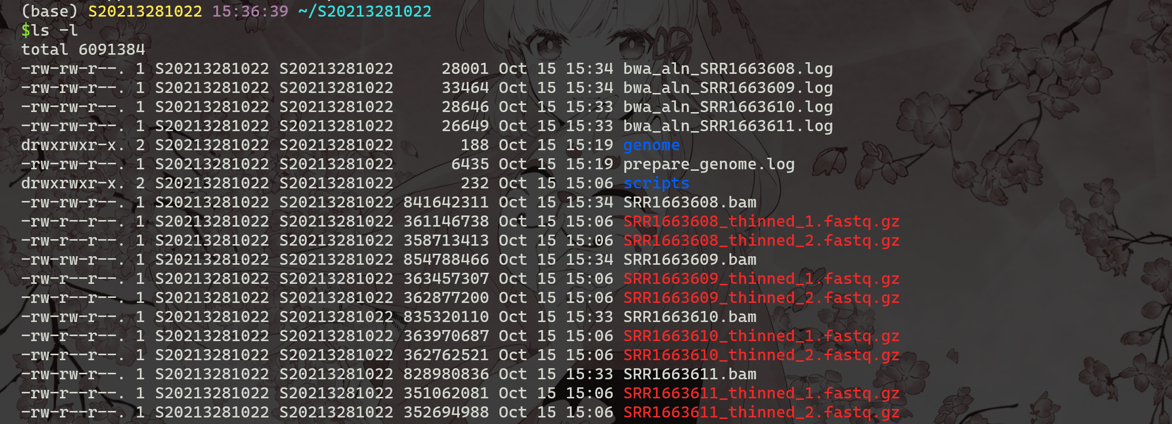 使用GATK4获取SNP - HorizonGazer