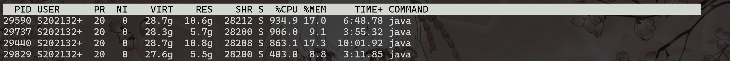 使用GATK4获取SNP - HorizonGazer