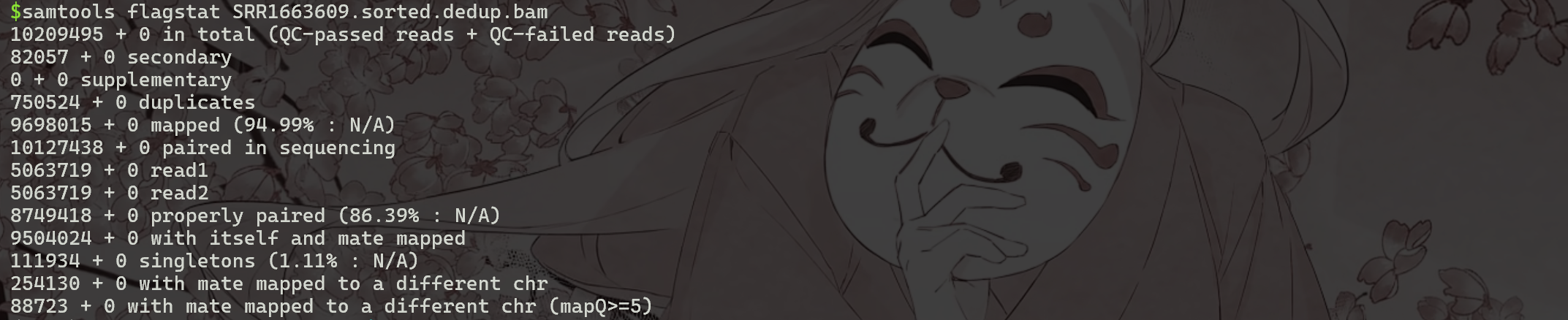 使用GATK4获取SNP - HorizonGazer