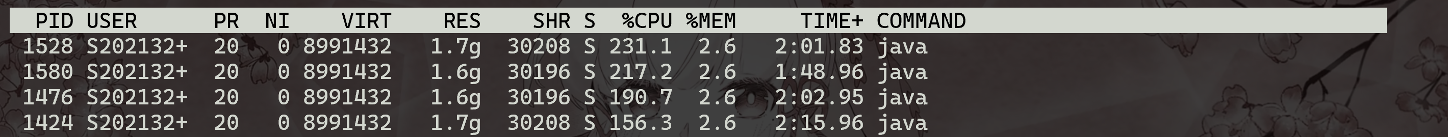 使用GATK4获取SNP - HorizonGazer