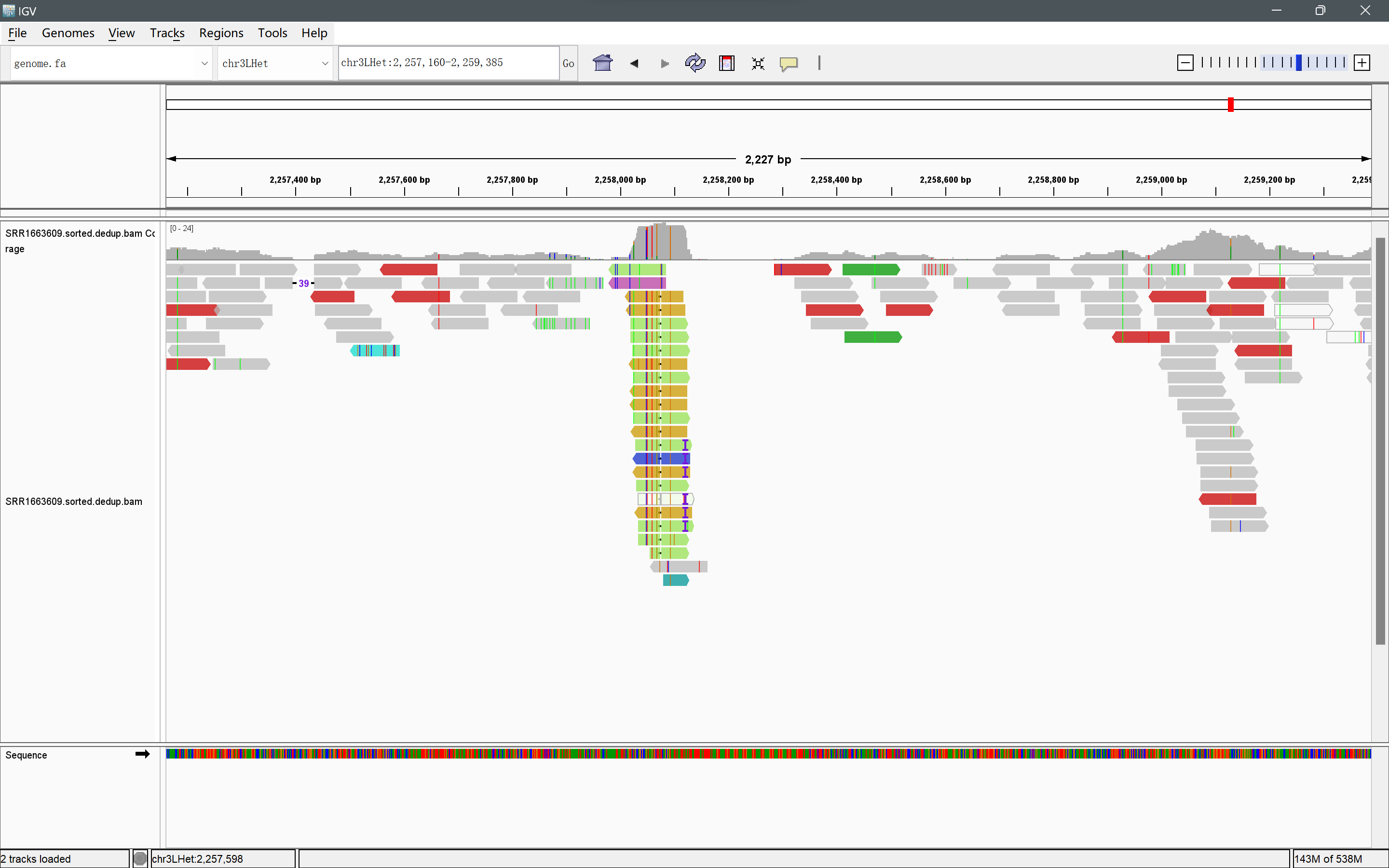 使用GATK4获取SNP - HorizonGazer