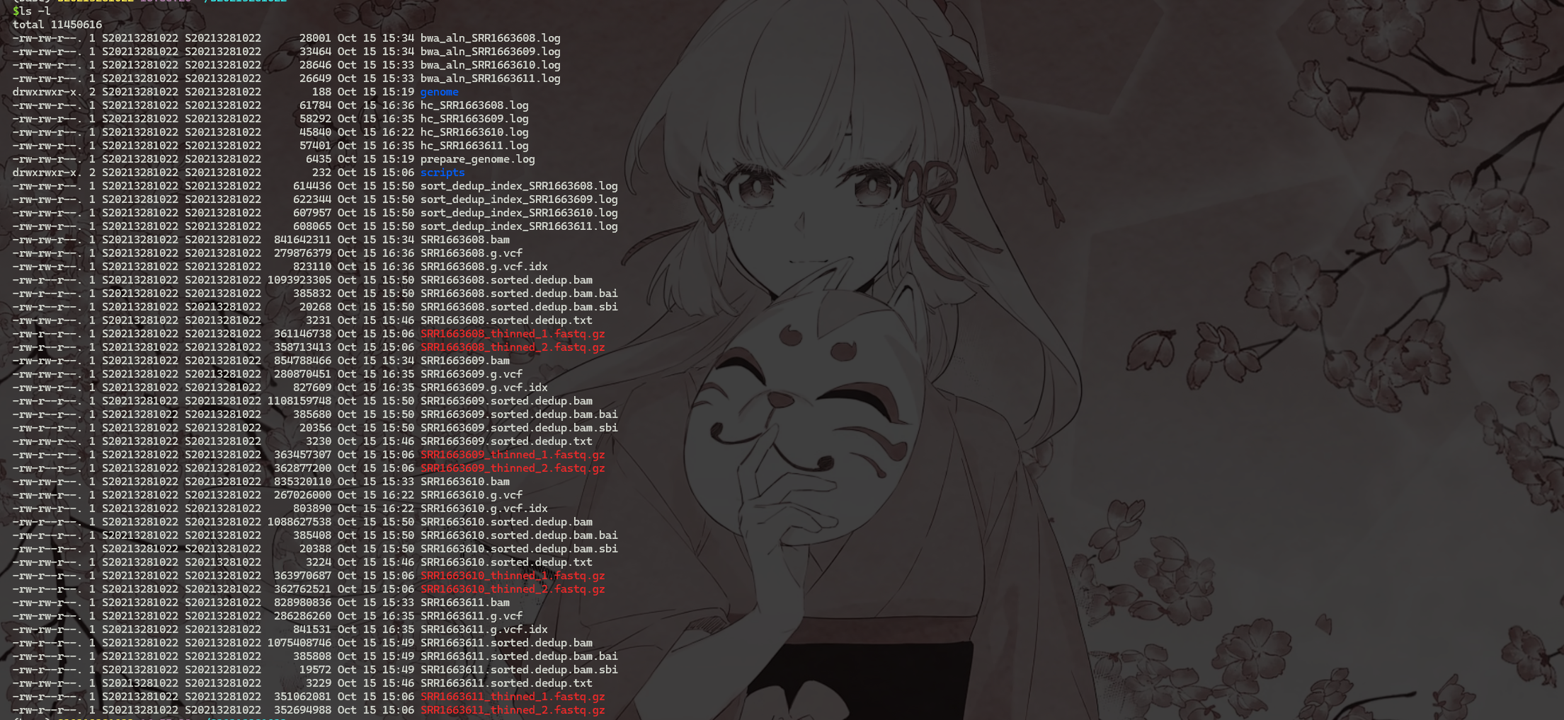 使用GATK4获取SNP - HorizonGazer