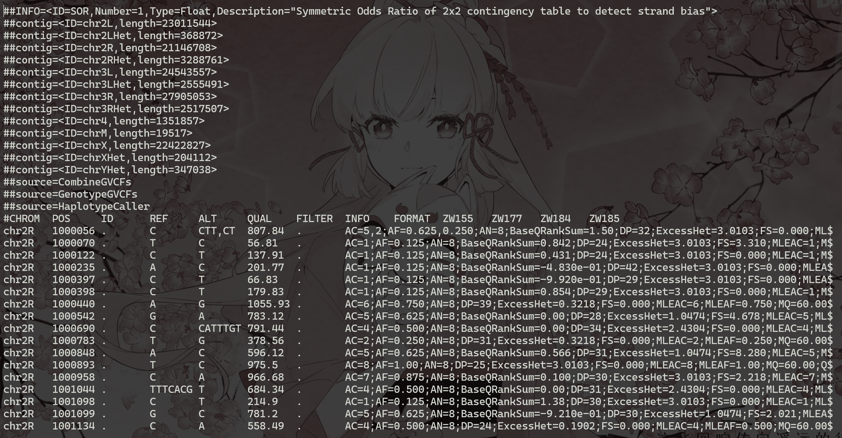 使用GATK4获取SNP - HorizonGazer