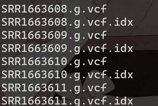 使用GATK4获取SNP - HorizonGazer